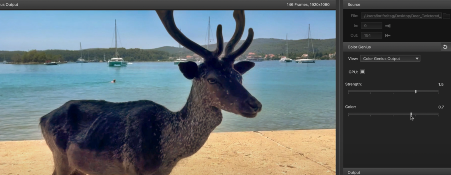 Company - RE:Vision Effects